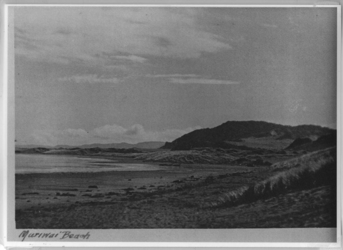Woodhill - Twice a Remedy - Woodhillforest.co.nz